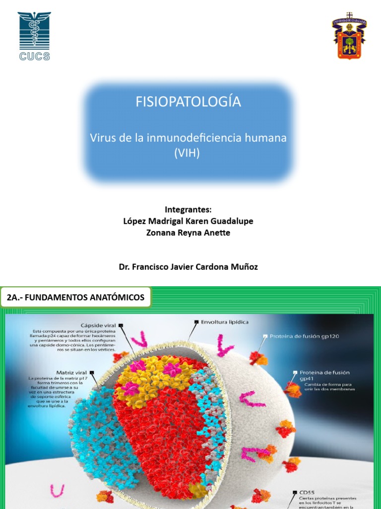 Fisiopatología Virus De La Inmunodeficiencia Humana Vih Pdf Vih