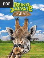 Anatomía y Fisiologia de La Jirafa | PDF