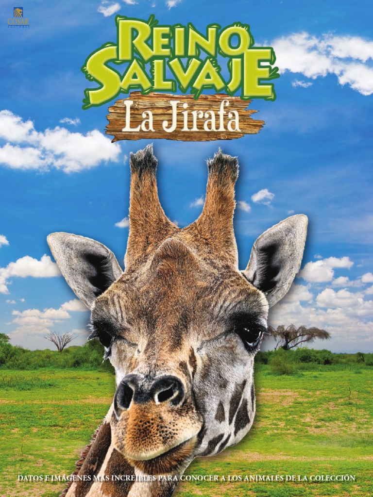 Fascinante Mundo de las Jirafas | PDF