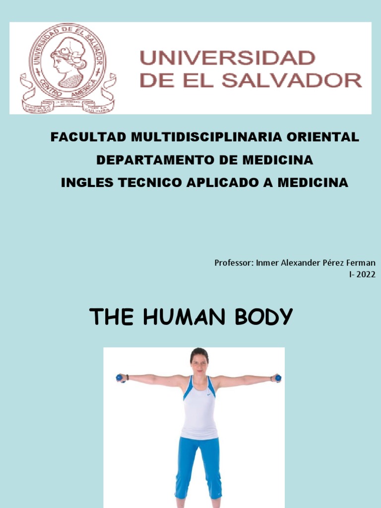 Parts of The Human Body. Lesson 1 PDF | PDF | Human Body | Skeleton