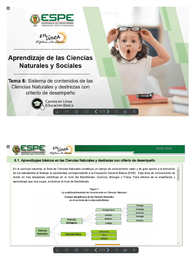 Tema 6 CCNN | PDF | Plan de estudios | Tierra
