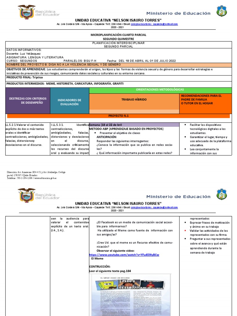 Planificación 2do Micro Parcial 4 | PDF | Información | Evaluación