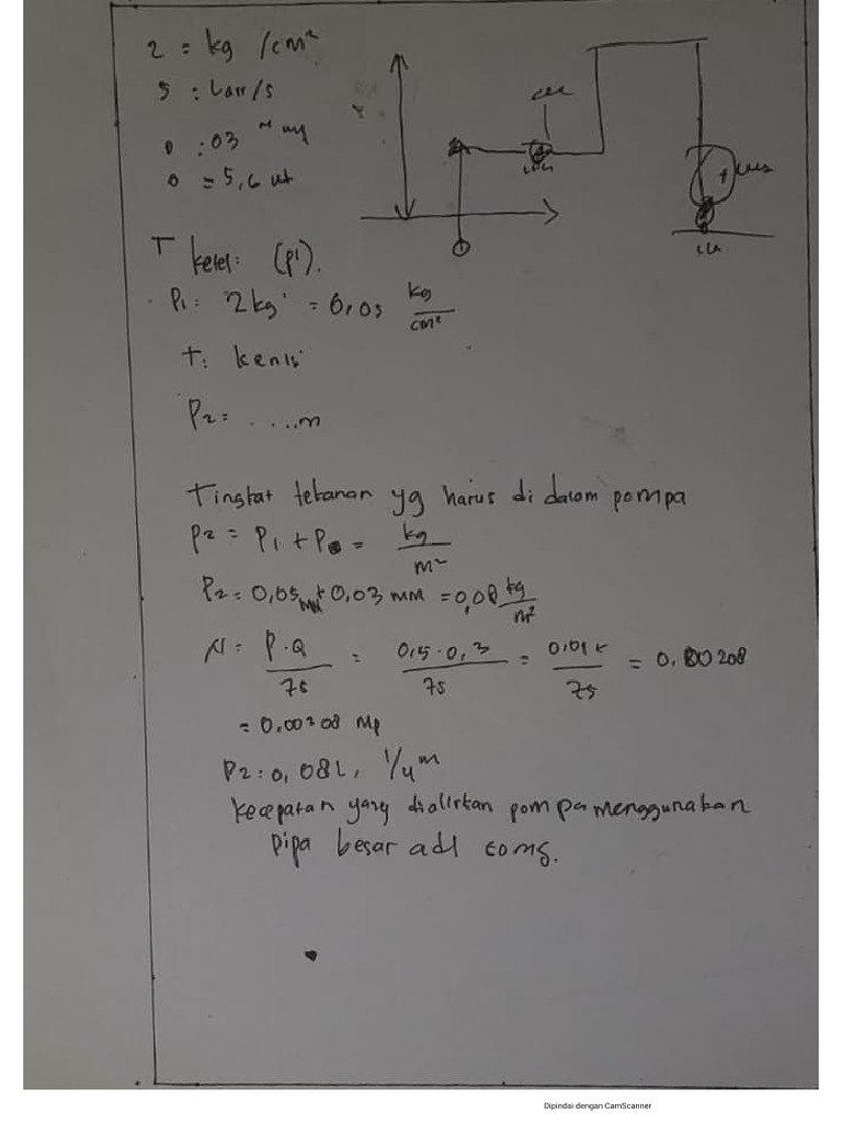 Anas | PDF