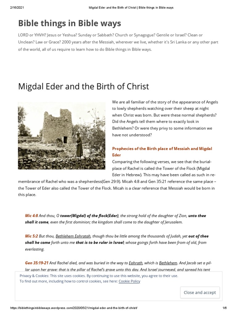Migdal Eder: Christ's Birthplace? | PDF | Jesus | Nativity Of Jesus