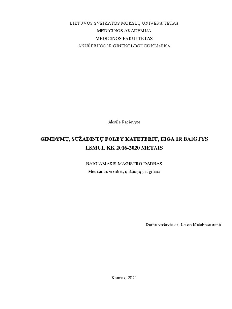 Baigiamasis Magistro Darbas. A. Papievytė | PDF