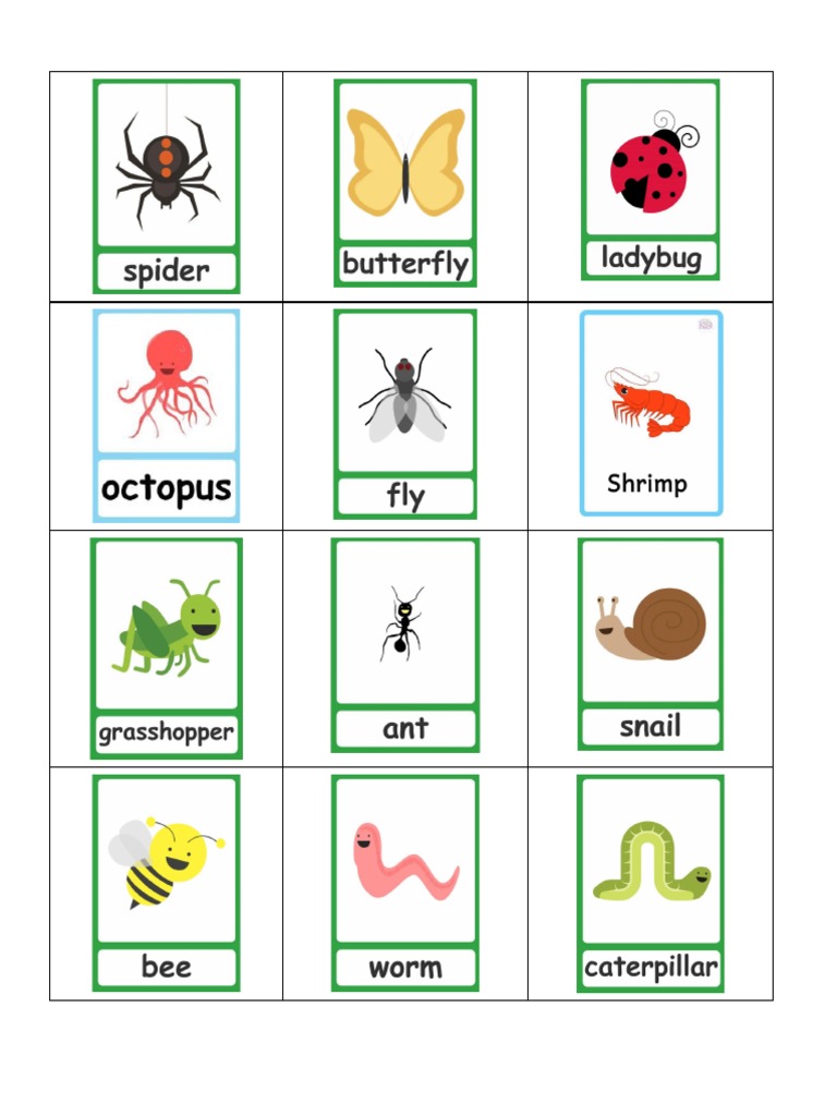 Worksheet - Sorting Insects | PDF