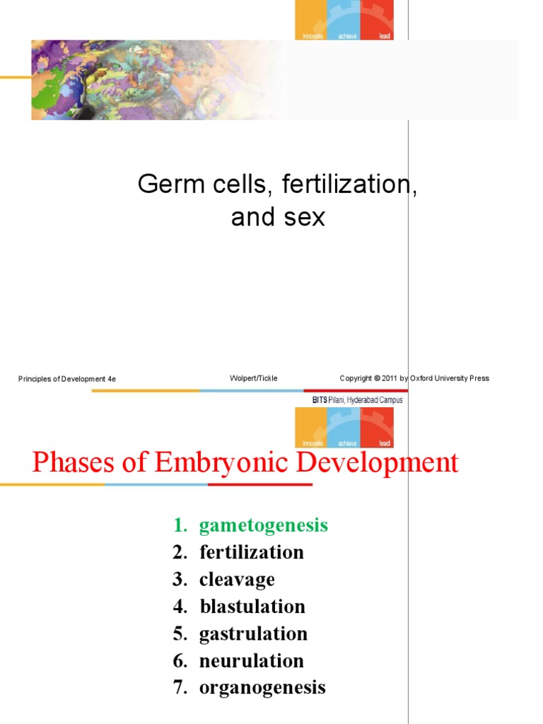 Germ Cell And Fertilization 1 Pdf Meiosis Sex 0473