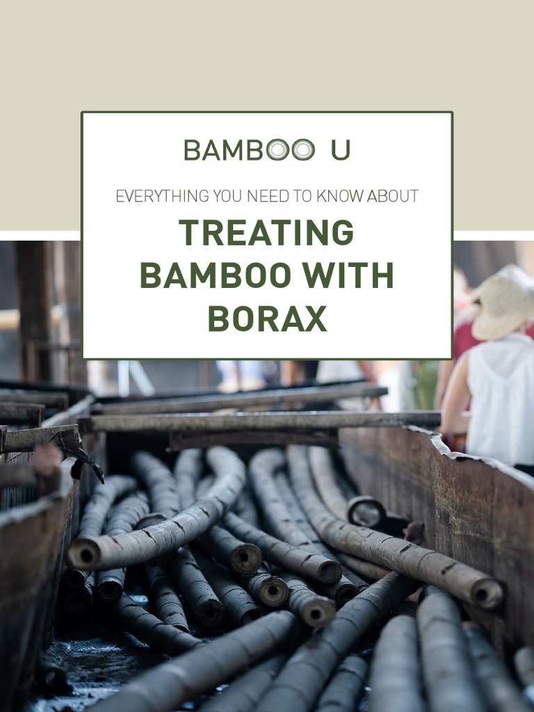 BAMBOO U - Treating Bamboo With Borax | PDF | Bamboo | Physical Sciences
