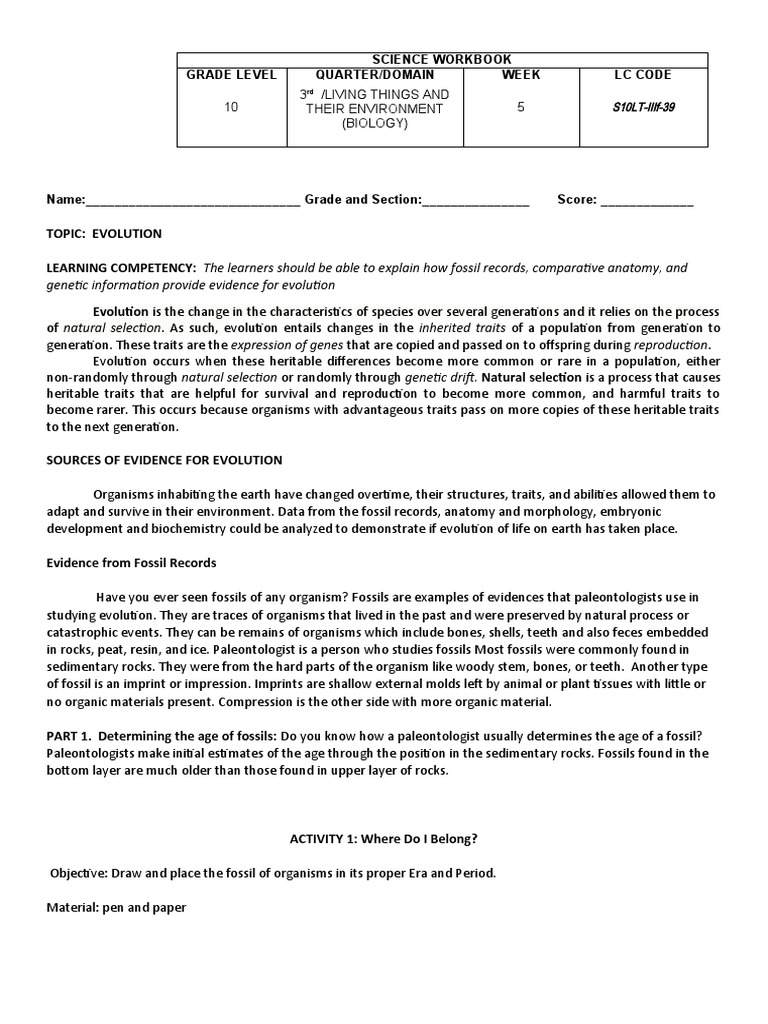 Q3 Biology Week 6 LAS | PDF | Evolution | Fossil