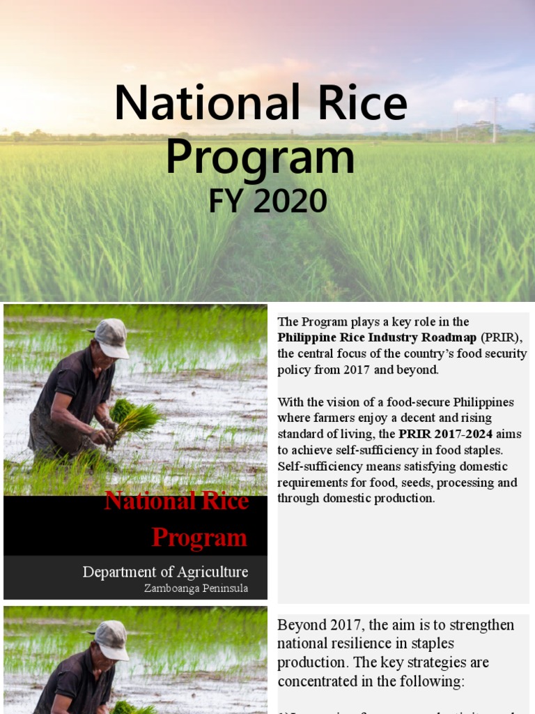 National Rice Program 2020 | PDF | Agricultural Machinery | Rice