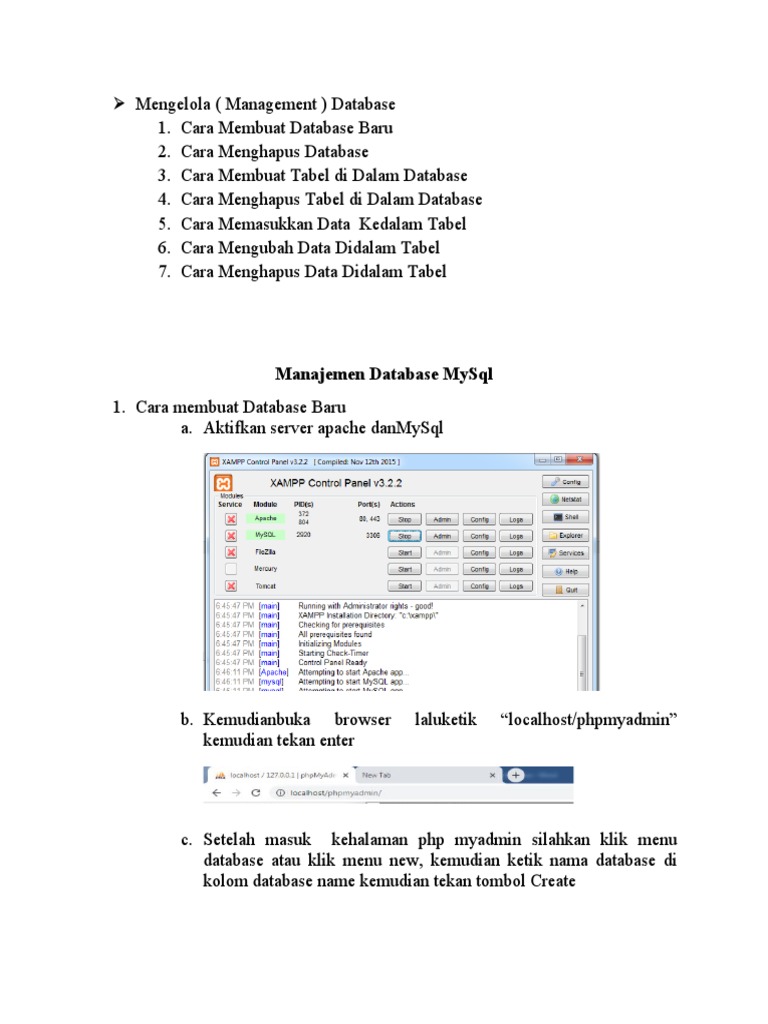 Aps+basis Data | PDF
