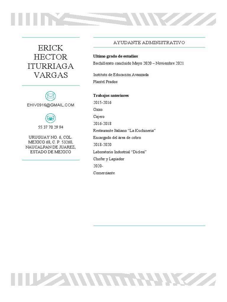 CV Erick | PDF