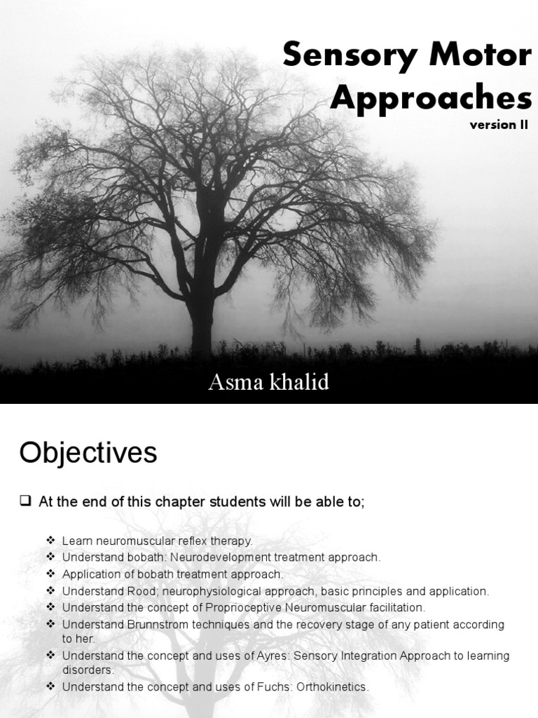 Sensory Motor Approaches: Asma Khalid | PDF | Anatomical Terms Of ...