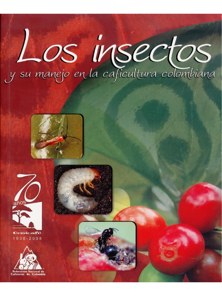 Libro Insectos | PDF