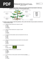 Parts of A Tree Worksheet | PDF