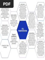Cell Transport Concept-Map | PDF | Membrane Biology | Life Sciences