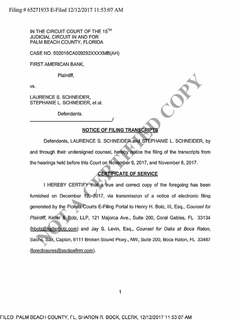 214 Notice of Filing Transcript 11.06.2017 | PDF