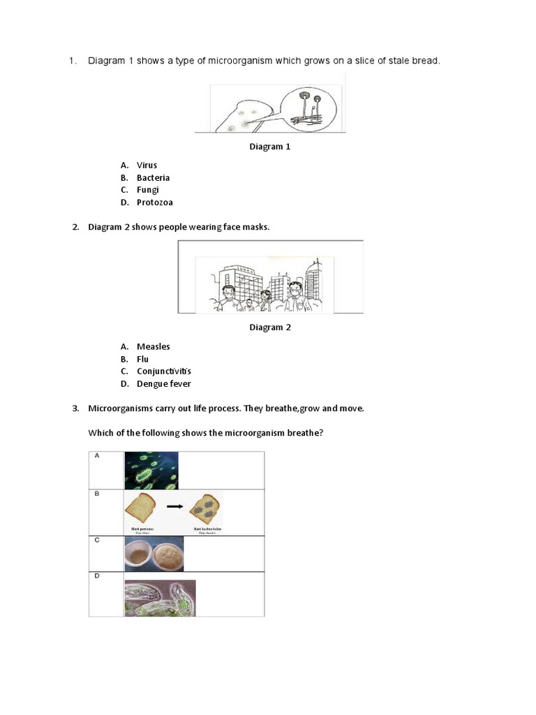 Science Year 6 | PDF | Nervous System | Microorganism