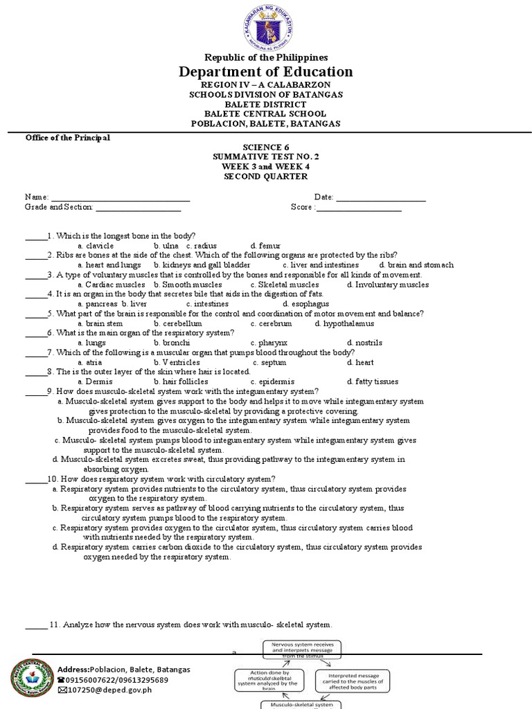 Grade 6 Science Summative Test Q2 | PDF | Invertebrate | Circulatory System