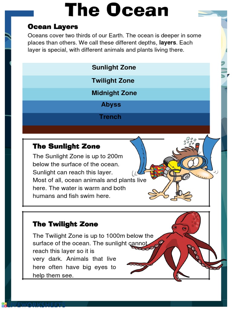 Ocean Layers: Sunlight Zone Twilight Zone Midnight Zone Abyss Trench ...