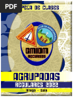 Emblemas Guias Mayores | PDF | Bandera | Los símbolos