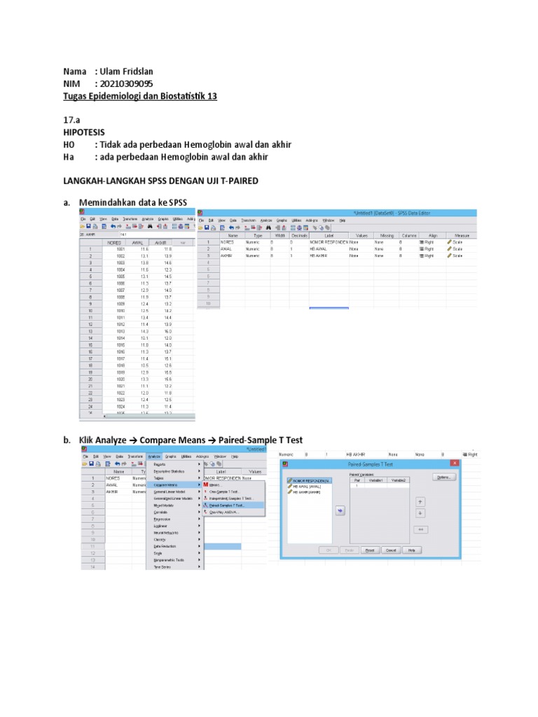 C-20210309095-Ulam Fridslan-Tugas Epid 13 | PDF