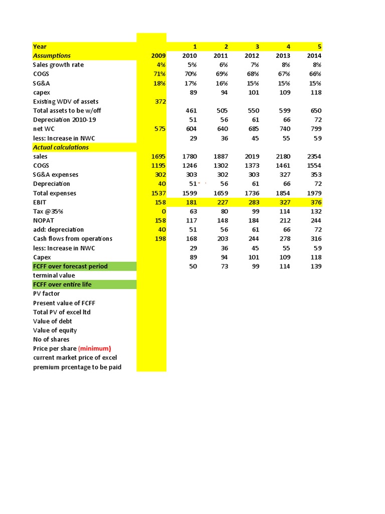 Sangam and Excel Mini Case Solution Template | PDF | Free Cash Flow ...