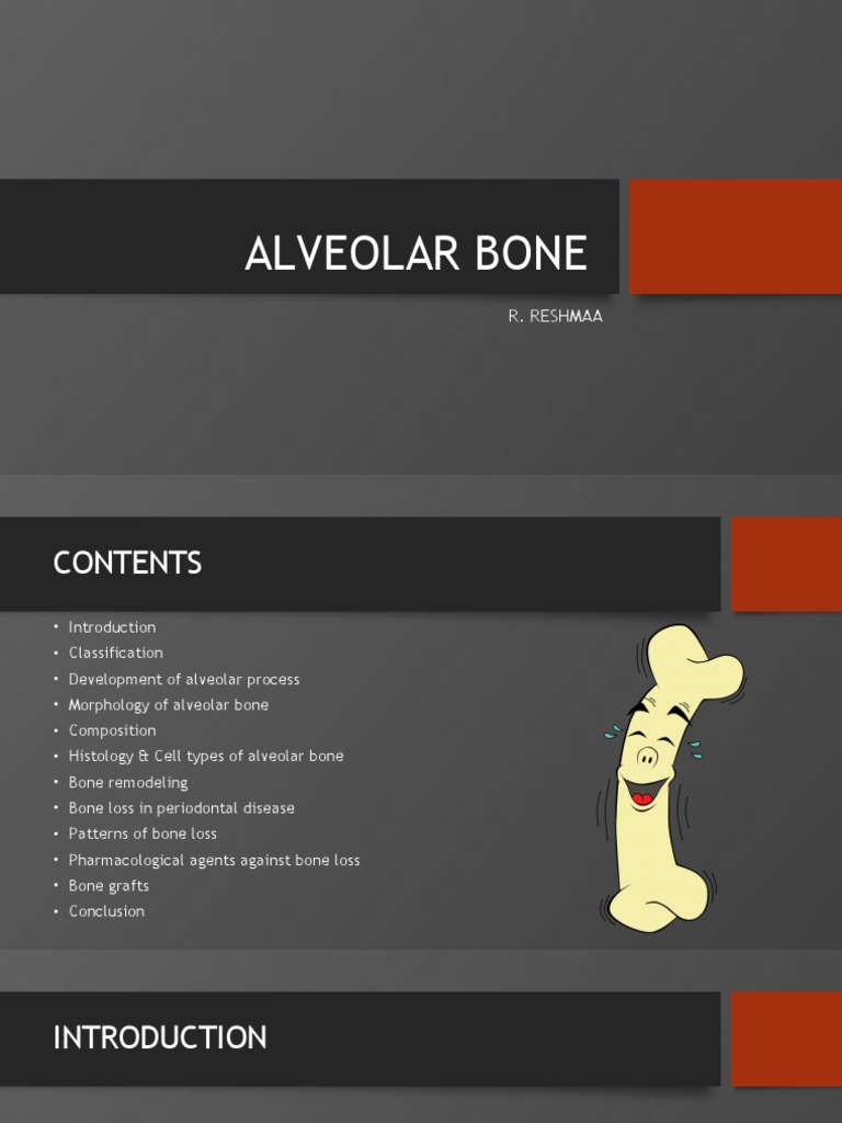 Alveolar Bone | PDF | Bone | Osteoblast