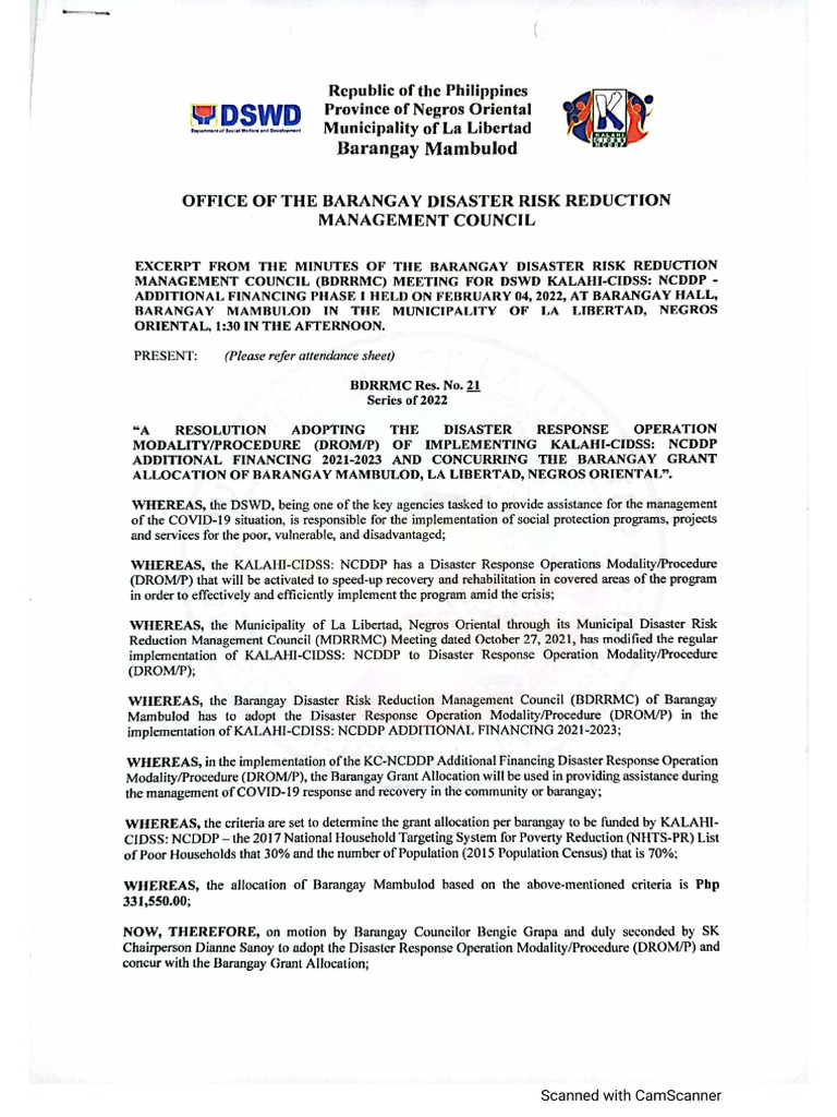 BDRRMC Resolution | PDF