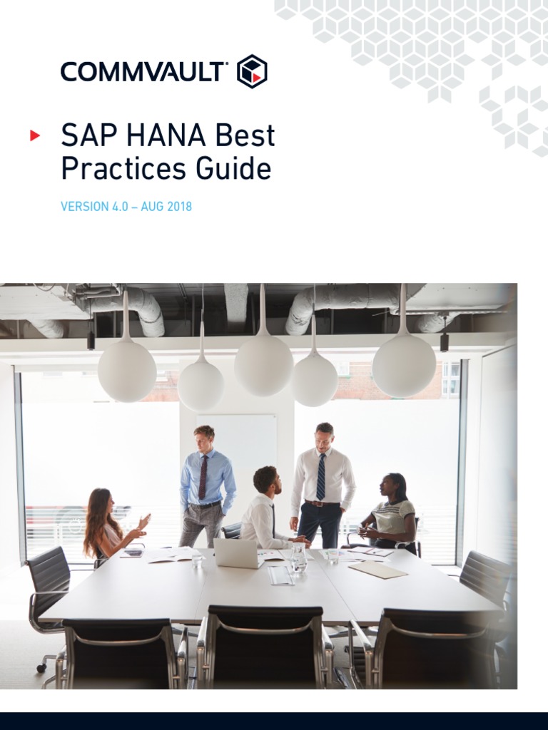 Sap Hana Best Practices Guide | PDF