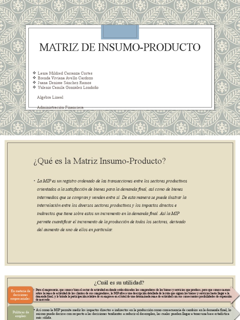 Matriz de Insumo-Producto | PDF | Valor añadido | Consumo (economía)