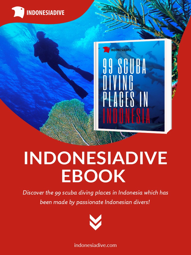 99 Scuba Diving Places in Indonesia | PDF | Underwater Diving | Indonesia