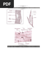 CBSE Class 9 Biology Worksheet - Tissues | PDF