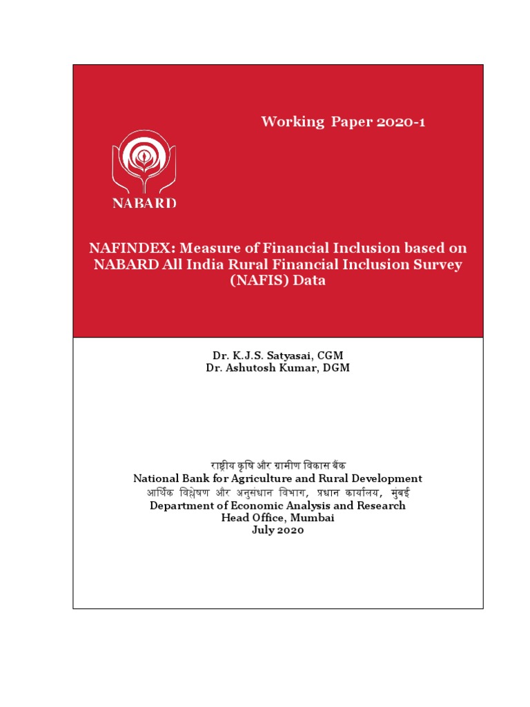 Naf Is 2020 Report | PDF | Financial Inclusion | Banks