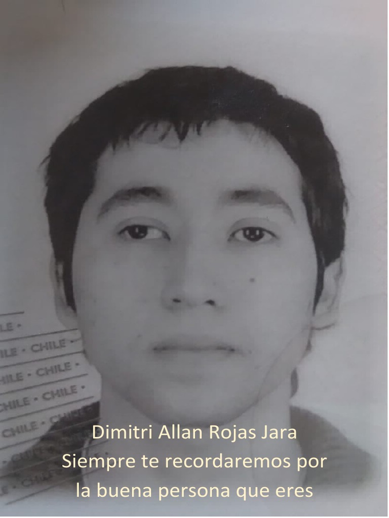 Dimitri Allan Rojas Jara | PDF