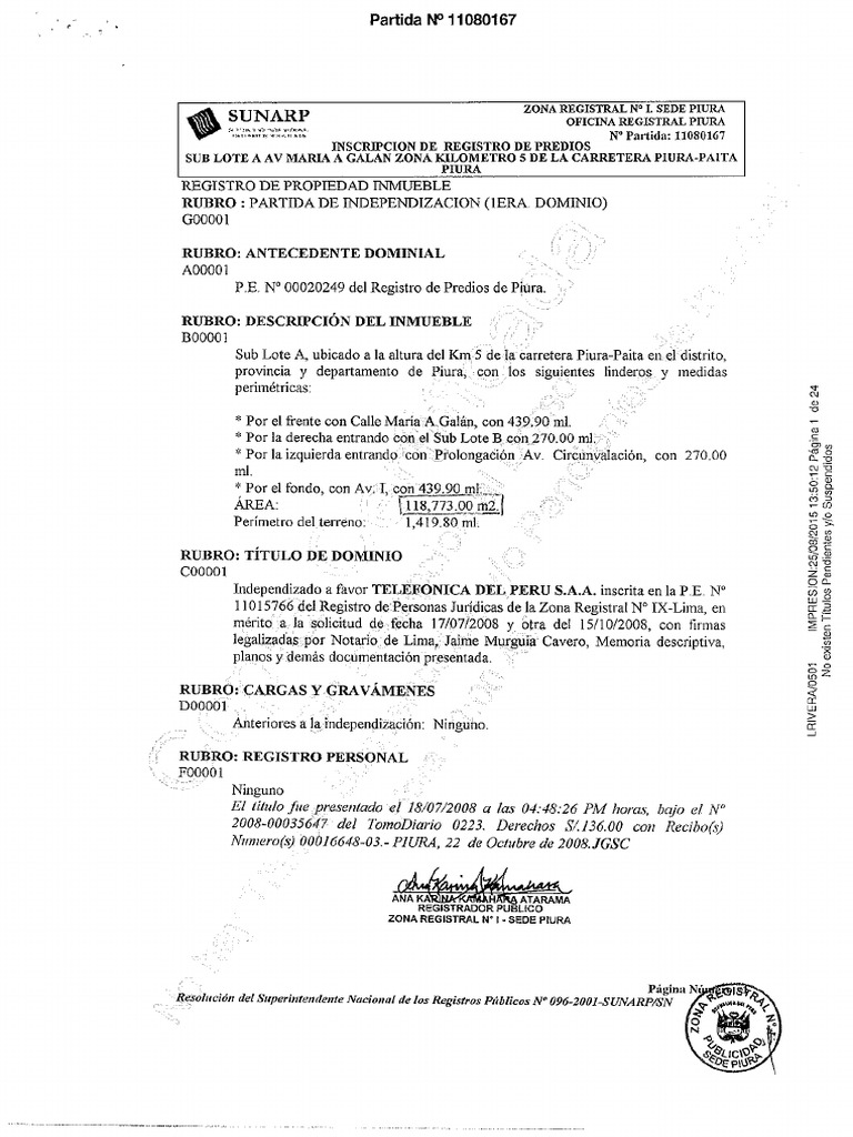 Partida Registral | PDF