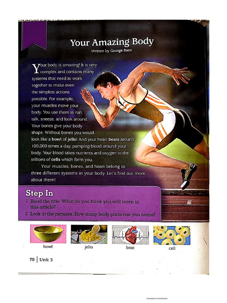 Your Amazing Body | PDF