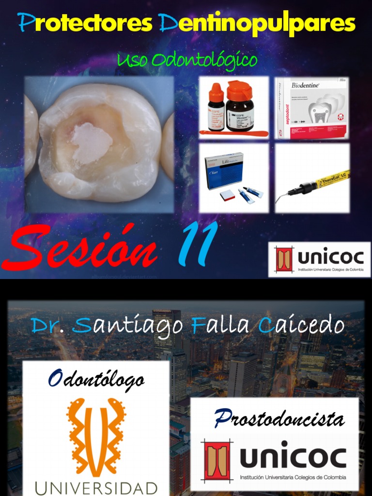 Protectores Dentino-Pulpares | PDF | Anatomia dental | Diente