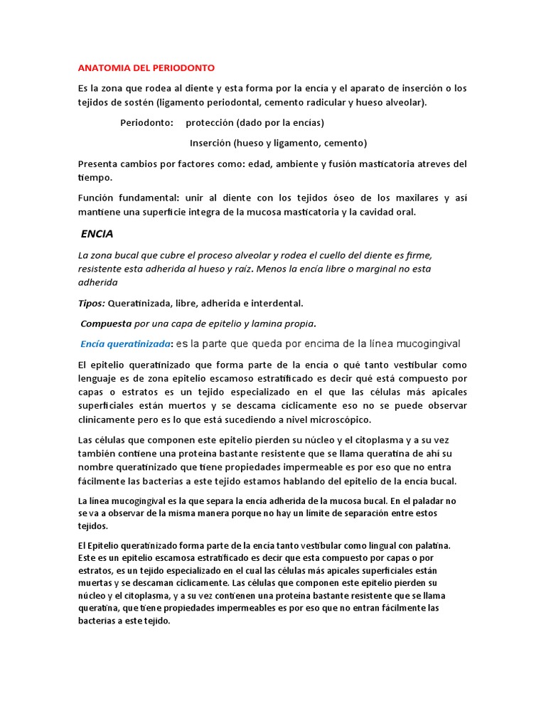 Anatomía del Surco Gingival y Encía | PDF | Epitelio | Hueso