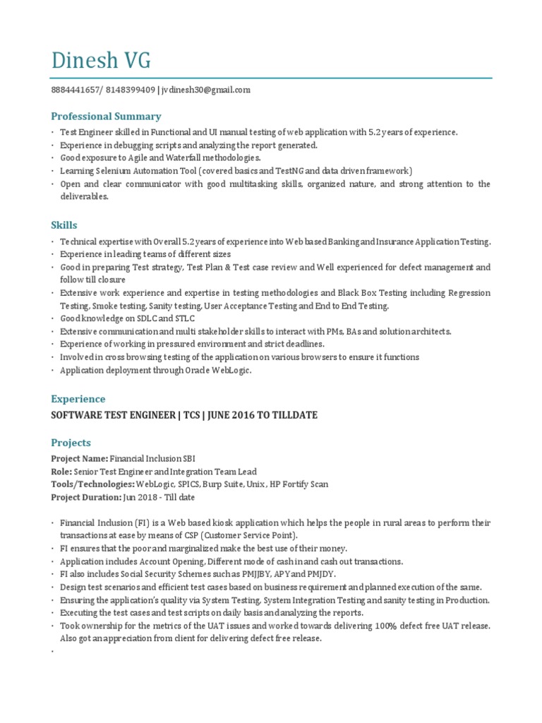 Dinesh VG: Professional Summary | PDF | Software Testing | Computing