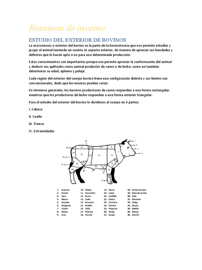 Inverne | PDF | Vacas | Abdomen