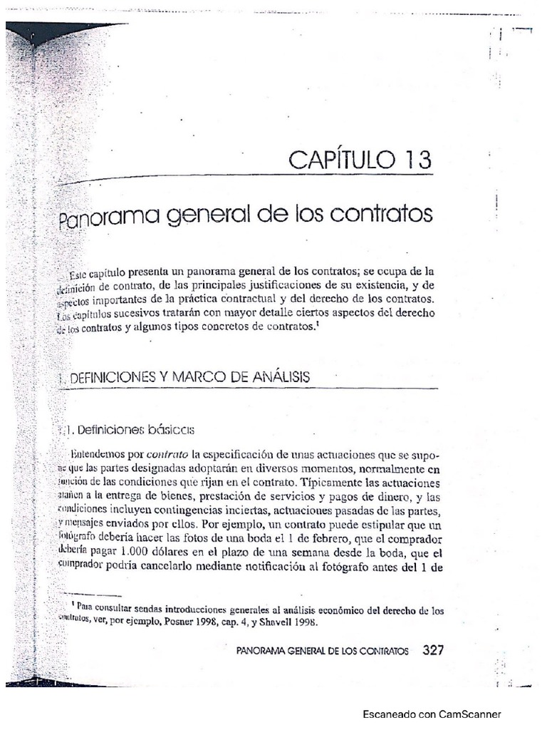 Capítulo 13 Shavell | PDF