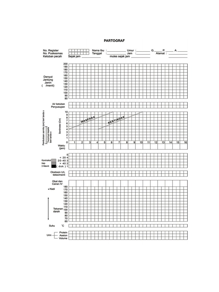 Partograf | PDF