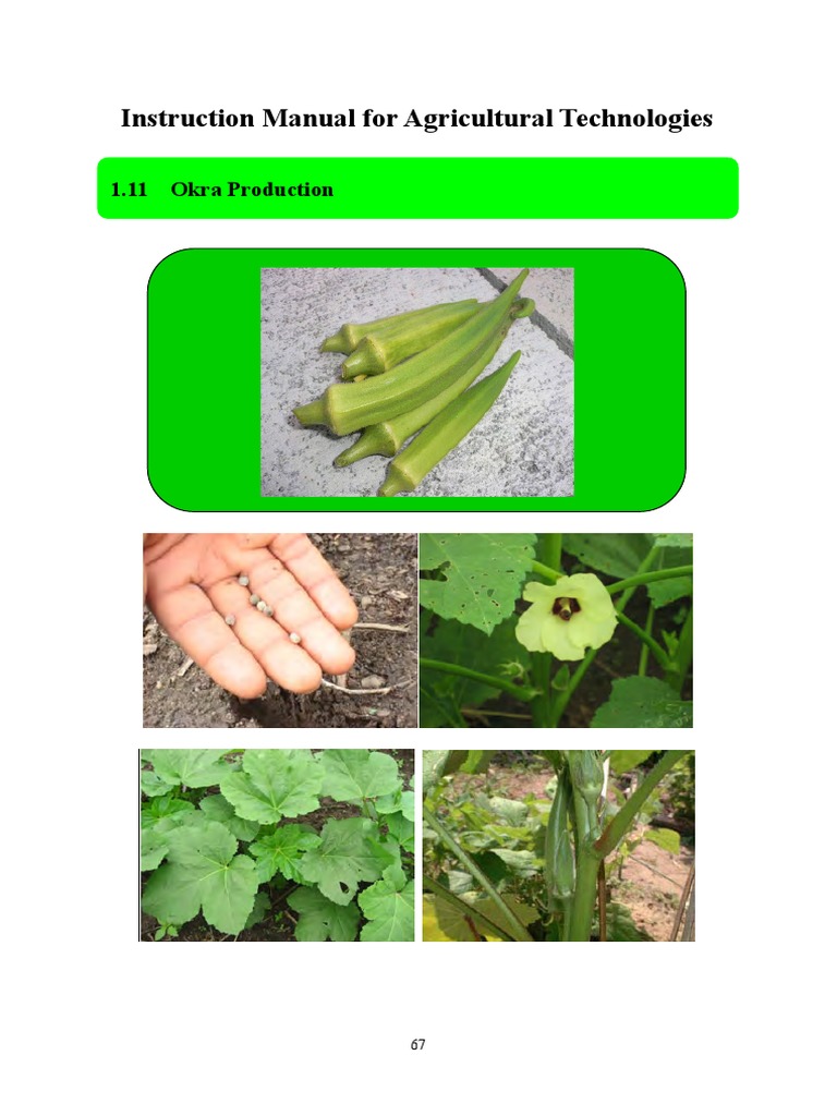 Instruction Manual For Agricultural Technologies: 1.11 Okra Production ...
