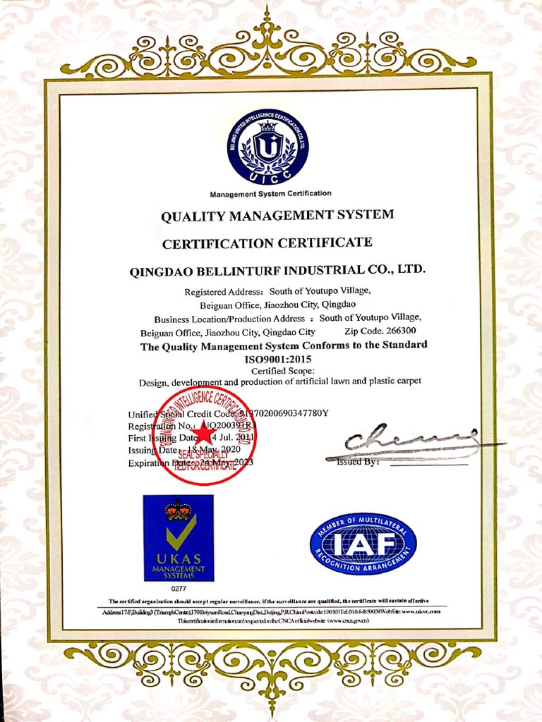 Iso 9001 - 2021 | PDF