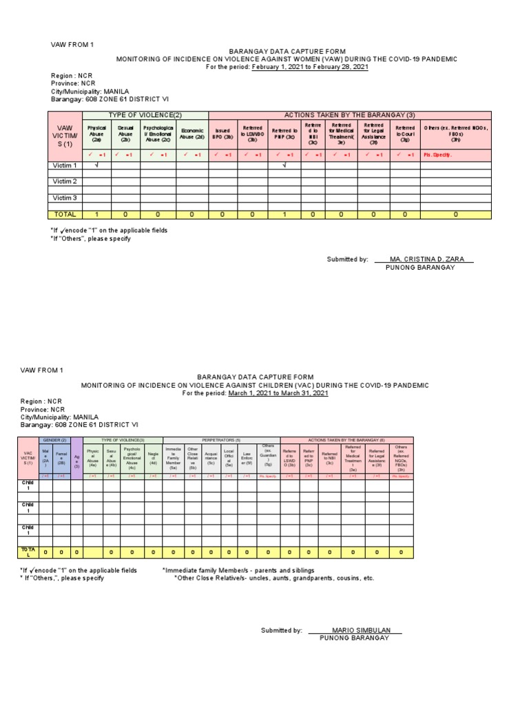 Barangay Data Capture Form Monitoring of Incidence On Violence Against ...