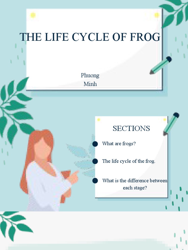 The Life Cycle of Frog. | PDF