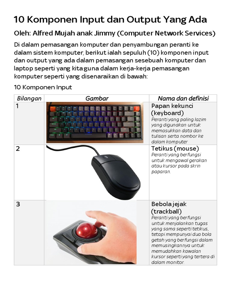 (Alfred Mujah Jimmy) 10 Komponen Input Dan Output Yang Ada | PDF