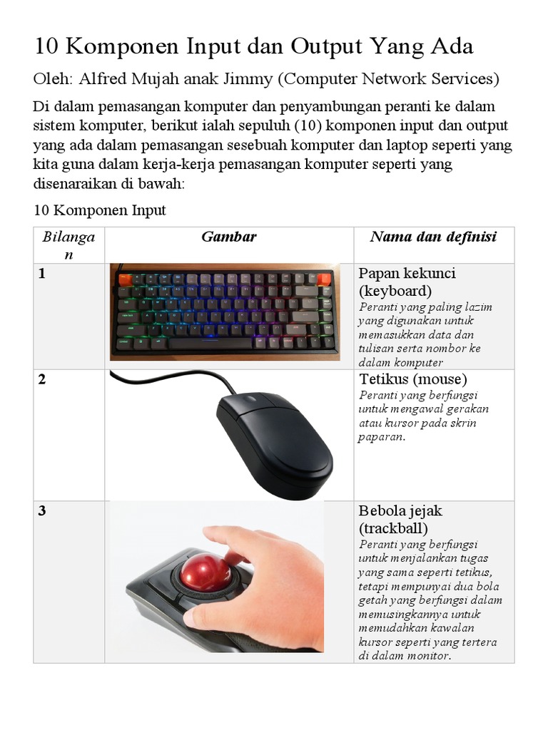 (Alfred Mujah Jimmy) 10 Komponen Input Dan Output Yang Ada | PDF