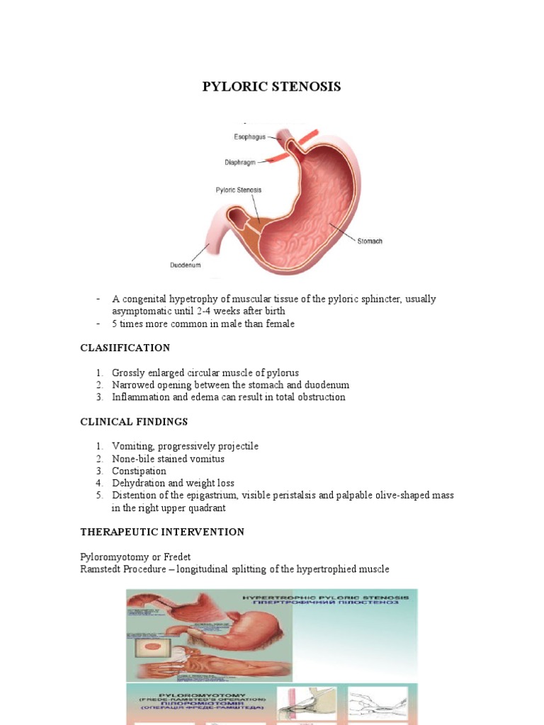 Bowel Disorder | Peptic Ulcer | Constipation